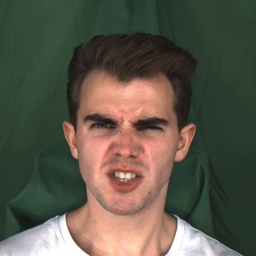 FaceSpeak: Expressive and High-Quality Speech Synthesis from Human Portraits of Different Styles