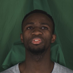 FaceSpeak: Expressive and High-Quality Speech Synthesis from Human Portraits of Different Styles