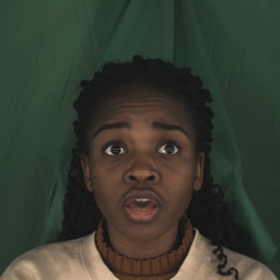 FaceSpeak: Expressive and High-Quality Speech Synthesis from Human Portraits of Different Styles