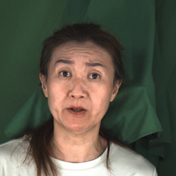 FaceSpeak: Expressive and High-Quality Speech Synthesis from Human Portraits of Different Styles